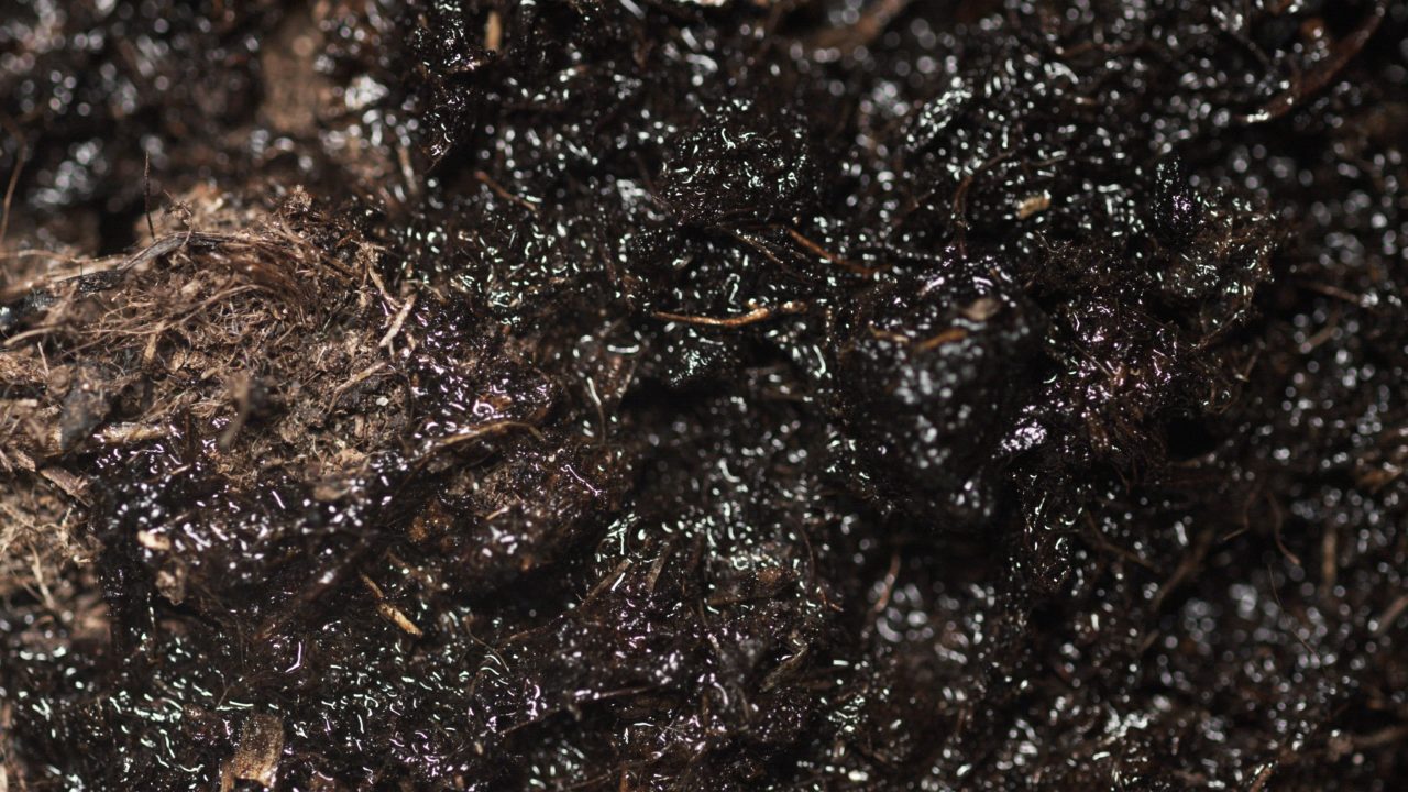 7 Compost Methods For Any Space - Wormgear